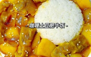 牛肉咖喱饭怎么做_家常牛肉咖喱饭的做法大全