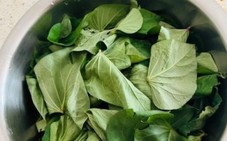 红薯叶拌面蒸多久_红薯叶拌面蒸的做法