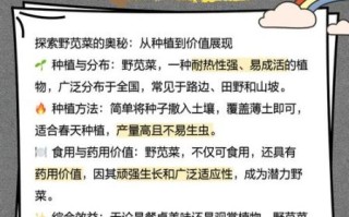 野苋菜和苋菜的区别_如何一眼辨认