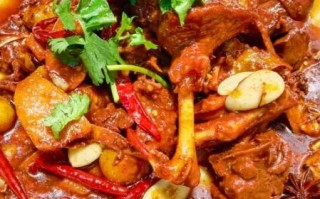 炖鹅肉怎么炖才好吃_鹅肉炖多久才软烂