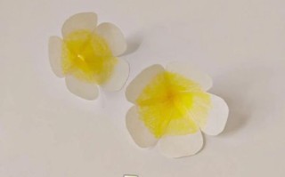 鸡蛋花怎么做_鸡蛋花食用方法