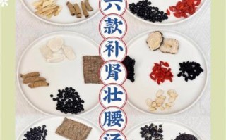 补肾药膳煲汤配方_肾虚喝什么汤好