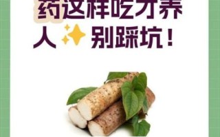 女人每天吃山药的好处_长期吃山药对女性的影响