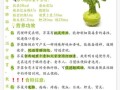 芥菜的功效与作用_芥菜怎么吃最营养