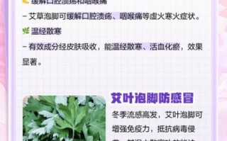 艾叶泡脚有什么好处_艾叶的功效作用与主治