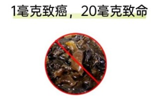 黄豆黄曲霉素怎么检测_黄曲霉素中毒症状