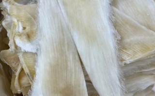 干鱼翅的价格一般是多少_干鱼翅多少钱一斤