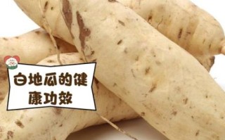 白地瓜怎么做好吃_白地瓜的做法大全
