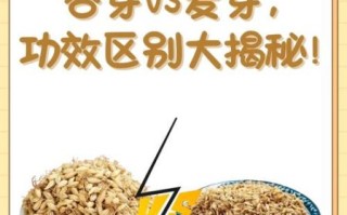 谷芽和麦芽的功效区别_哪个更适合健脾开胃