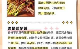 香椿吃了有什么好处_香椿吃多了有什么坏处