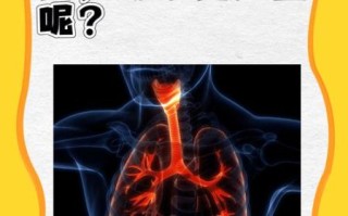 气管炎和支气管炎的区别_哪个更严重