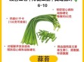 降血脂最快的五种蔬菜_吃什么蔬菜降血脂最快