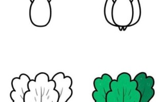 青菜图片大全大图简笔画_怎么画简单又好看