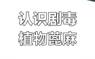 蓖麻子几粒致人死亡_中毒剂量与症状