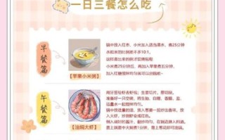 一日三餐营养食谱_如何搭配才健康