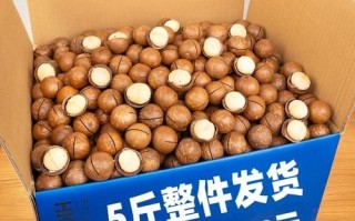 夏威夷果多少钱一斤_夏威夷果价格为什么差别大