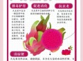 火龙果皮擦脸有什么好处_怎么用才有效