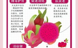 火龙果皮擦脸有什么好处_怎么用才有效