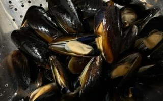 淡菜怎么做好吃_淡菜食用方法大全