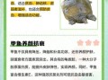 甲鱼营养价值_甲鱼功效有哪些