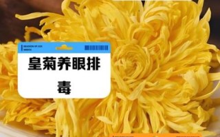 金丝皇菊泡水喝的功效_金丝皇菊怎么泡才正确