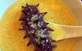 小米南瓜海参粥的做法_海参粥怎么做好吃又营养