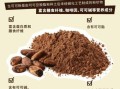 碱化可可粉好不好_碱化可可粉有营养吗