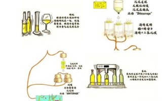 葡萄怎么做成葡萄酒_家庭自酿葡萄酒步骤