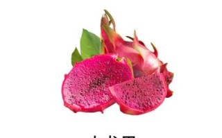 补肾吃什么食物最好_补肾水果有哪些