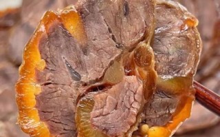 卤牛腱子肉的做法_最正宗的做法