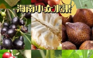 海南水果大全_哪些热带水果值得买