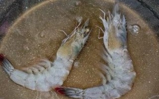 虾子怎么做给宝宝吃_宝宝辅食虾子做法