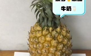 菠萝怎么吃才安全_菠萝不能和什么一起吃