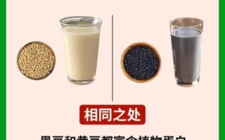黄豆浆和黑豆浆的区别_哪个更营养