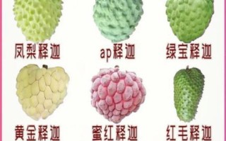 番荔枝是凉性还是热性_番荔枝吃了会上火吗