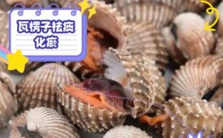 瓦楞子功效与作用_瓦楞子怎么吃