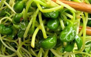 炒豆苗怎么炒才脆嫩_家常炒豆苗要不要焯水