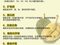 榴莲的功效与作用有哪些_榴莲营养价值高吗