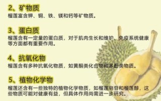 榴莲的功效与作用有哪些_榴莲营养价值高吗