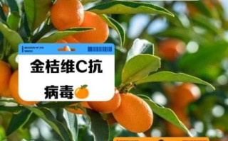 金桔有什么功效与作用_金桔怎么吃效果最好