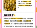 胎菊的功效与作用有哪些_胎菊的副作用是什么