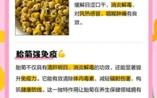 胎菊的功效与作用有哪些_胎菊的副作用是什么