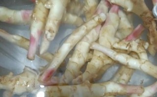 腌姜芽怎么做_腌姜芽的正确做法