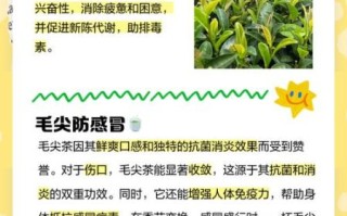 毛尖茶的功效与作用_毛尖茶怎么喝才减肥