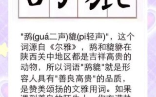 老鸹叫预示着什么_老鸹叫吉凶怎么判断