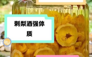 刺梨酒的做法_刺梨酒怎么泡才最好喝