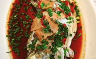 大白鱼怎么做好吃_清蒸还是红烧