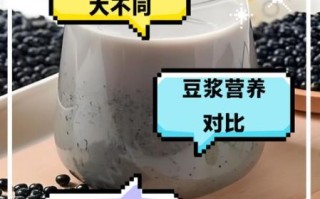 黄豆豆浆和黑豆豆浆哪个更有营养_营养价值对比