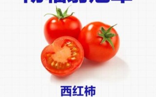 吃什么防辐射最好_哪些食物抗辐射最有效