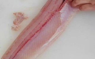 黑鱼片怎么切_黑鱼片切法技巧